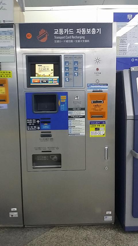 釜山港に着いたら(両替と交通カードの購入): 釜山のあんない人